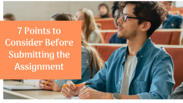 7 Points to be Considered Before Submitting The Assignment